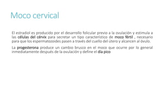 Moco cervical | PPTX