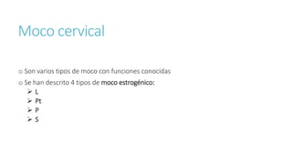 Moco cervical | PPTX