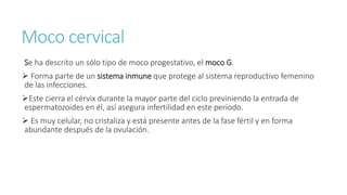 Moco cervical | PPTX