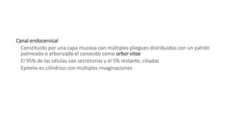 Moco cervical | PPTX