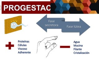 Semiología de moco cervical | PPTX