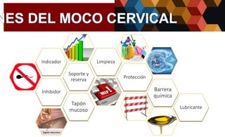 Semiología de moco cervical | PPTX