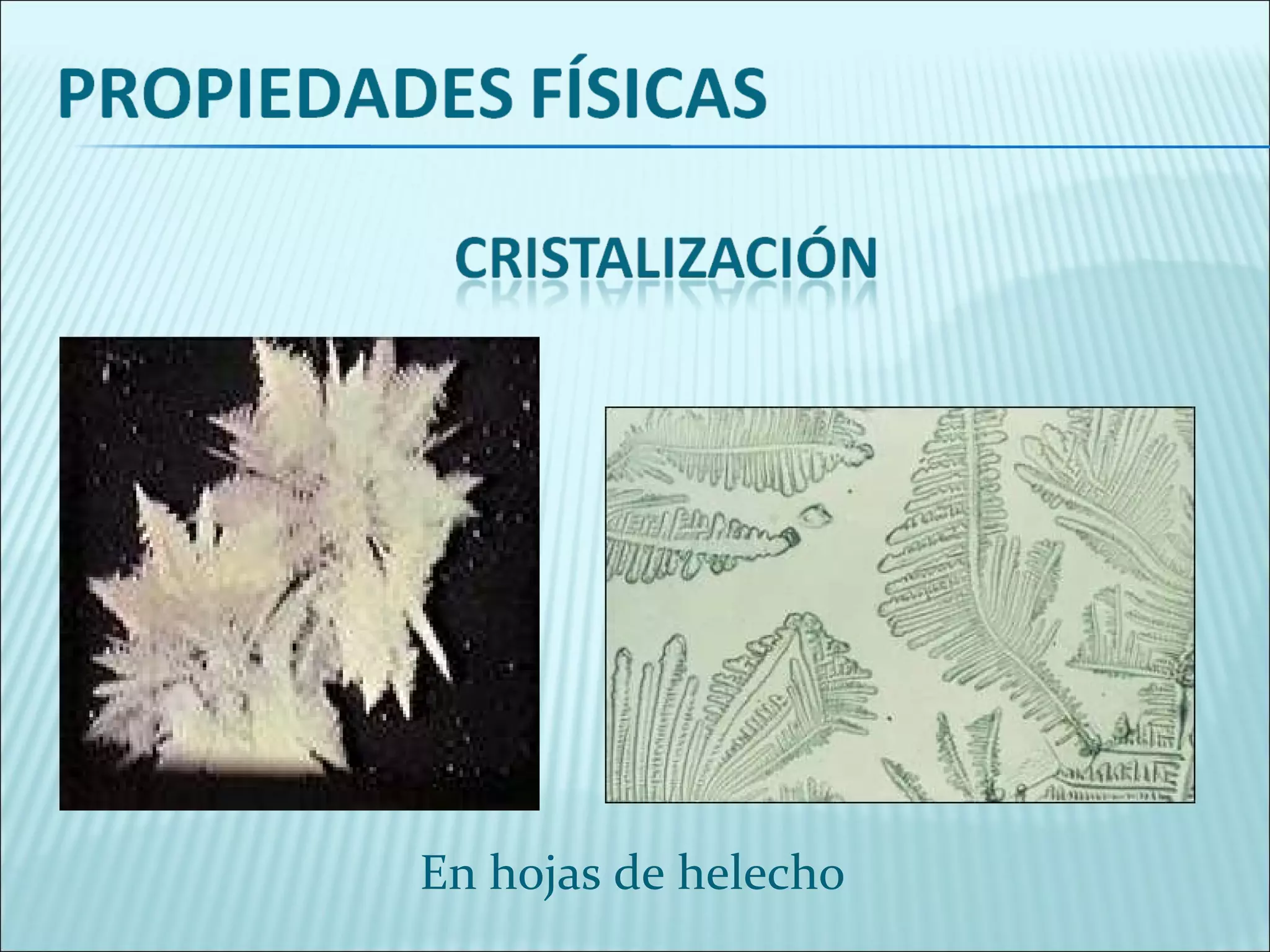 ¿Como es el moco cervical? | PPT