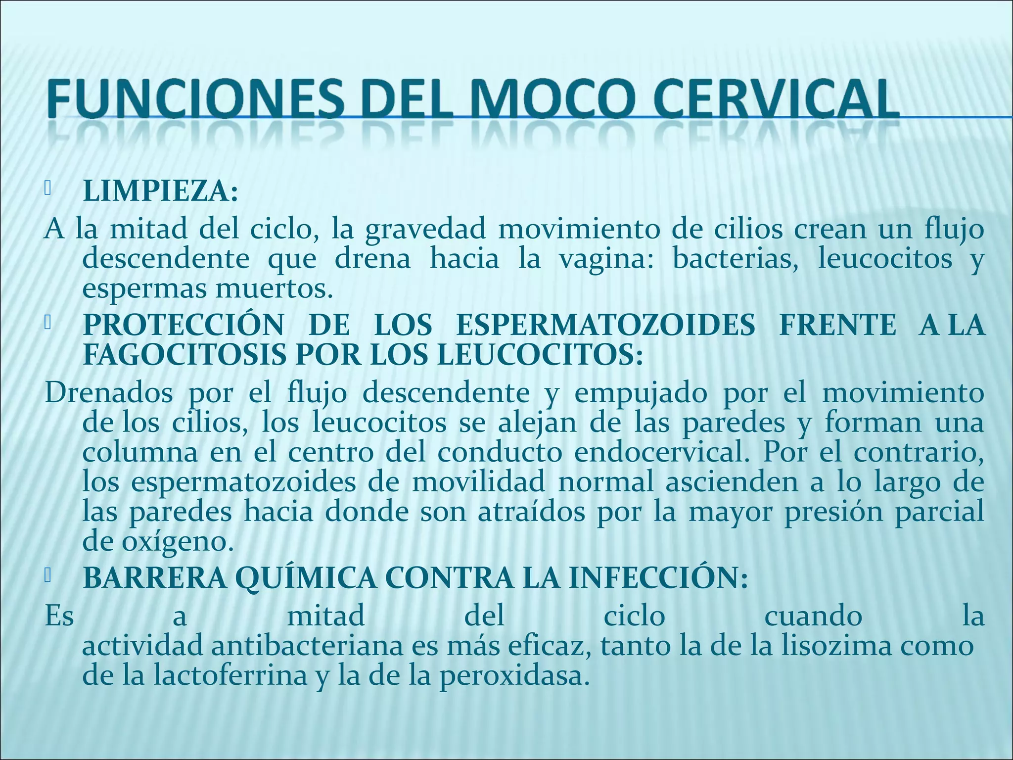 ¿Como es el moco cervical? | PPT