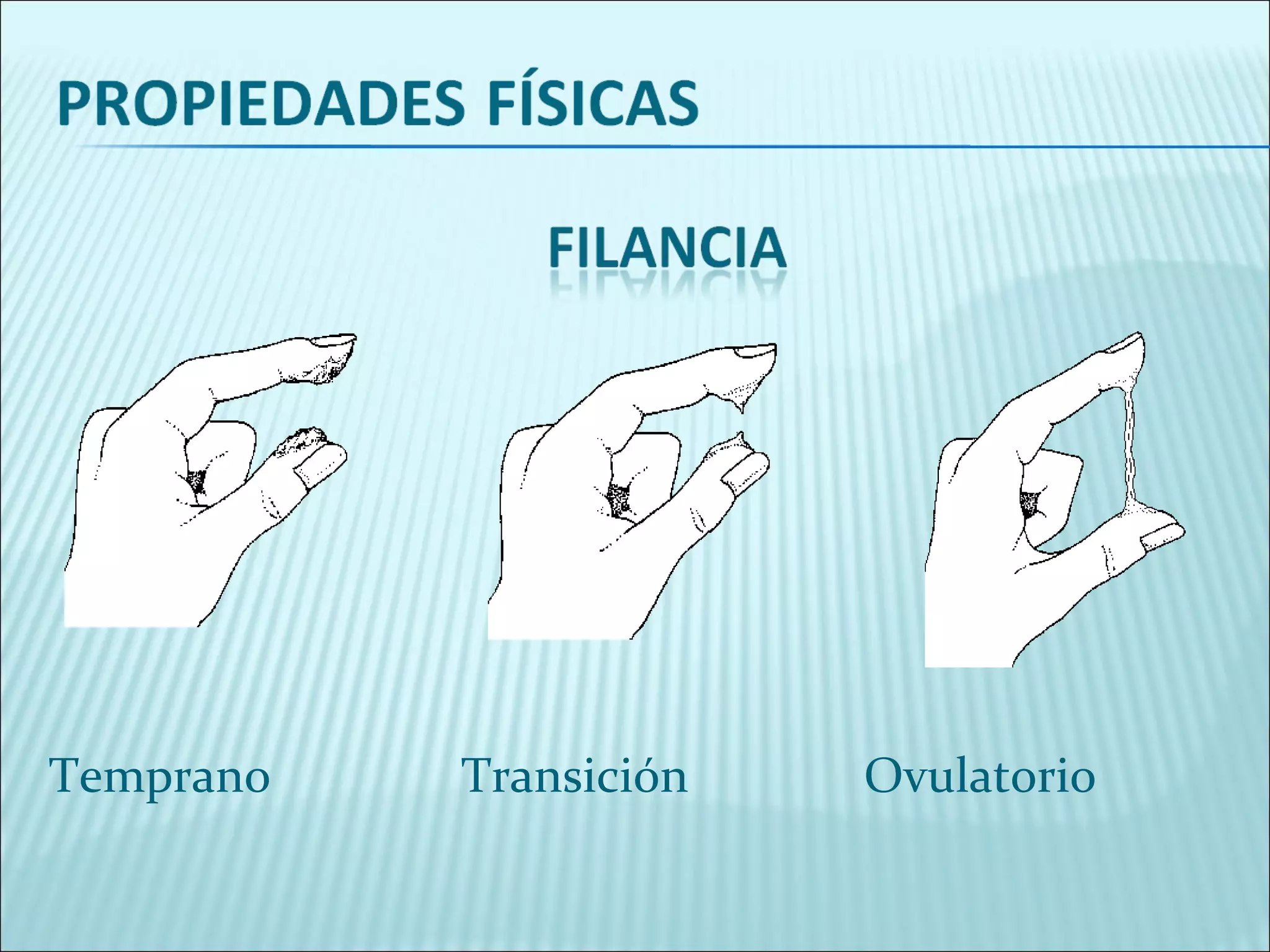 ¿Como es el moco cervical? | PPT