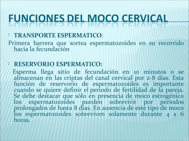 ¿Como es el moco cervical? | PPT