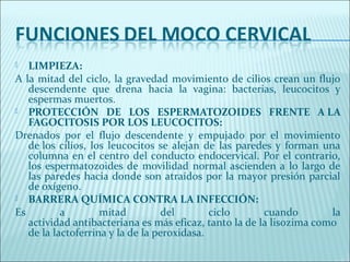 ¿Como es el moco cervical? | PPT