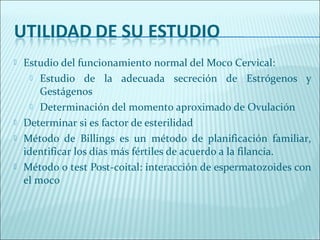 ¿Como es el moco cervical? | PPT