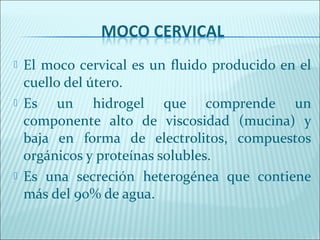 ¿Como es el moco cervical? | PPT