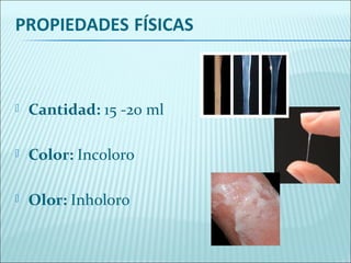 ¿Como es el moco cervical? | PPT