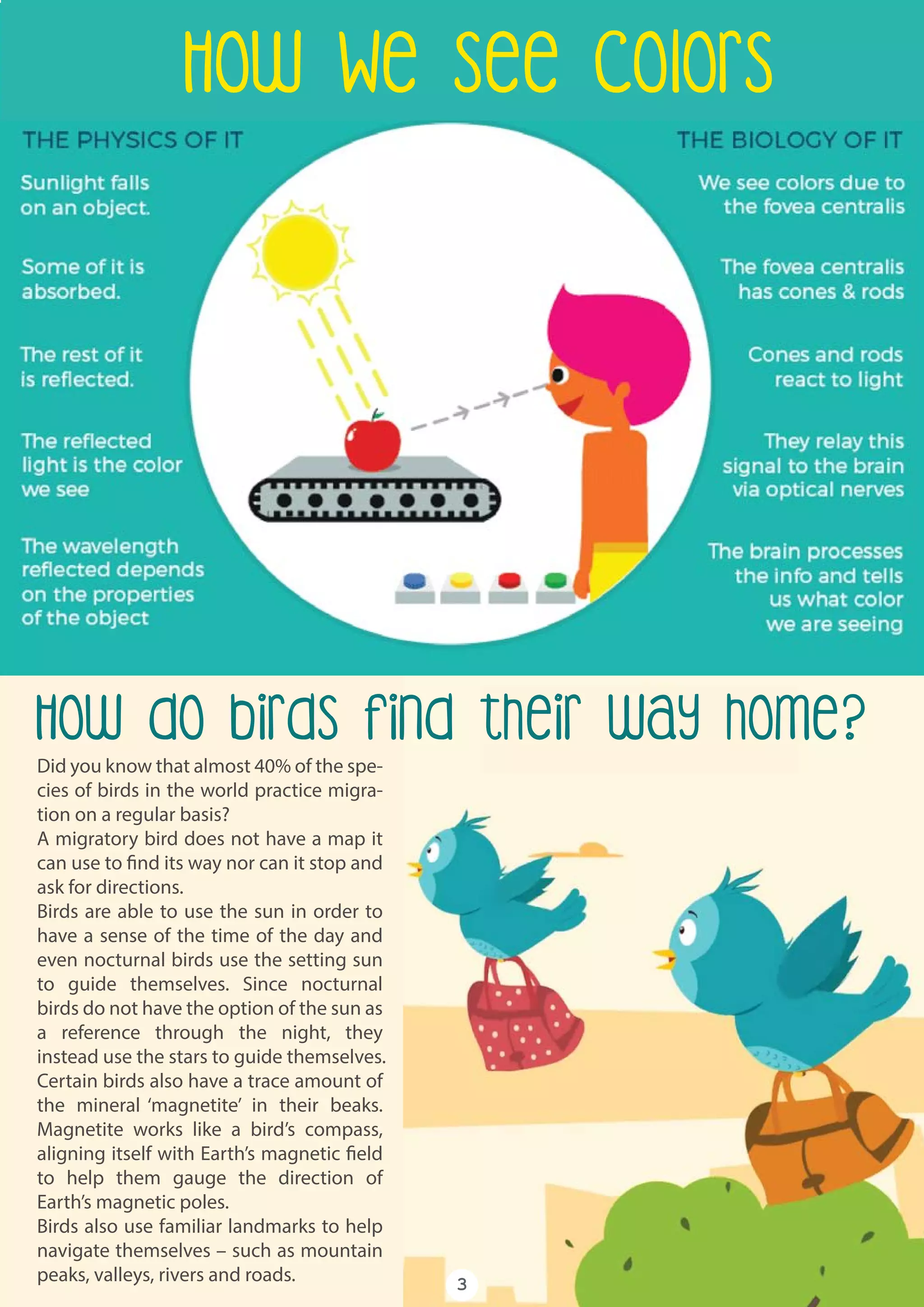 Mocomi TimePass The Magazine - Issue 13 | PDF