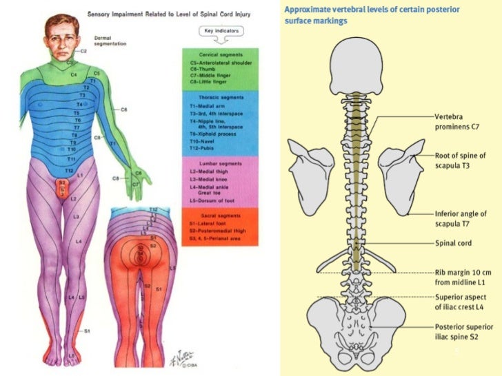 regional anesthesia and beir block