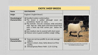 Mod. no. 3. Classification and study of Indigenous and exotic sheep ...