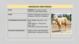 Mod. no. 3. Classification and study of Indigenous and exotic sheep ...