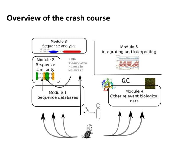 BITS: Basics of sequence databases | PDF | Databases | Computer Software and Applications
