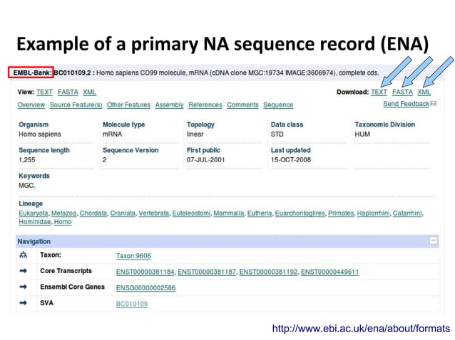 BITS: Basics of sequence databases | PDF | Databases | Computer Software and Applications