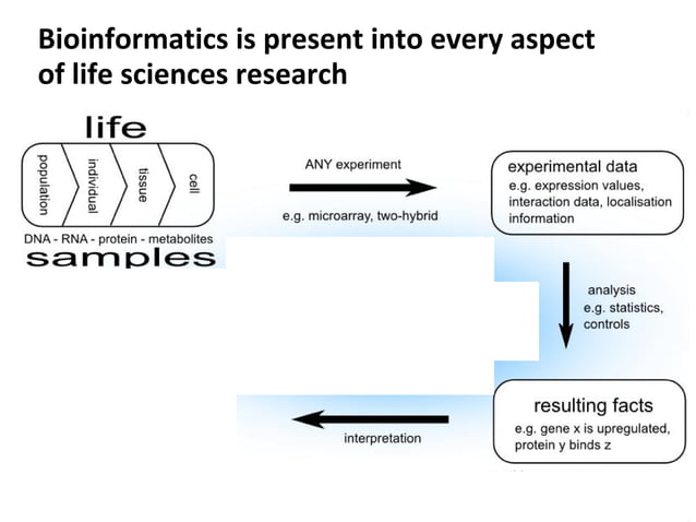 BITS: Basics of sequence databases | PDF | Databases | Computer Software and Applications