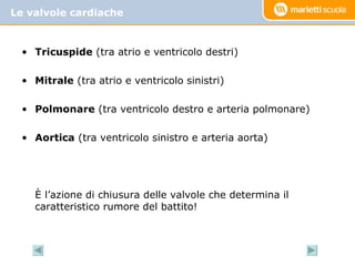 Mod 1 03_apparato cardiocircolatorio | PPS
