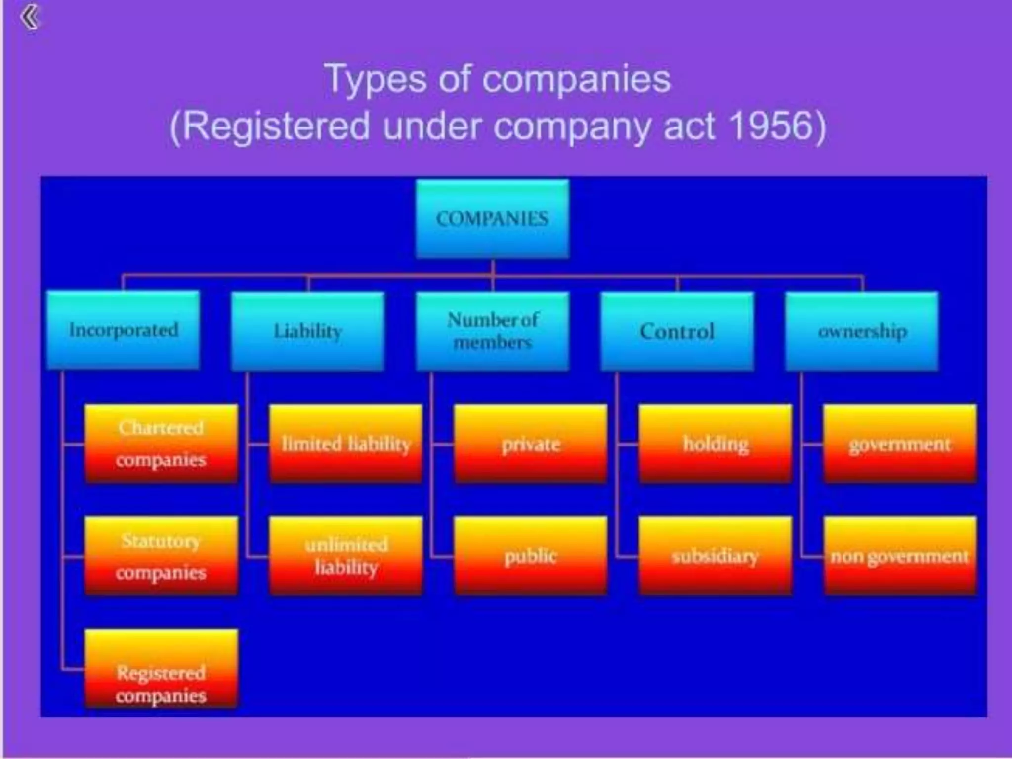 MOD 1 PART 2-CLASSIFICATION OF COMPANIES.pptx