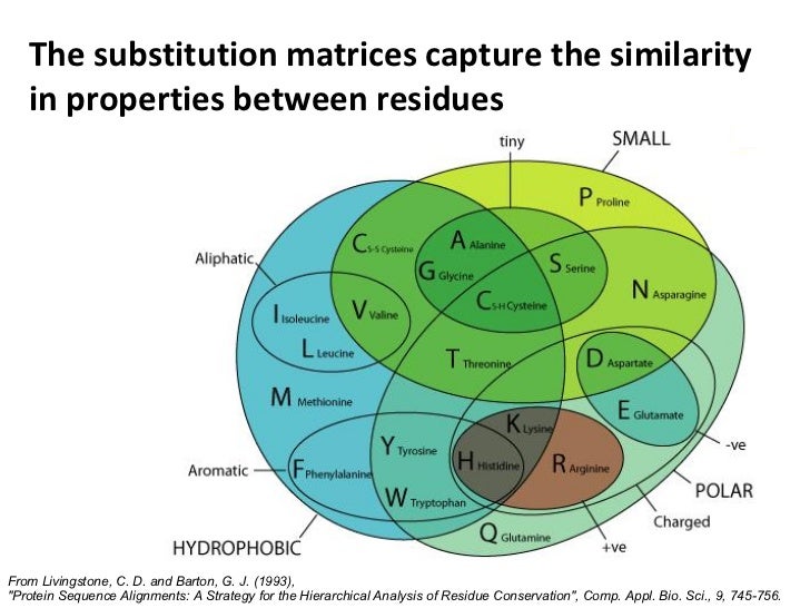 Bioedit sequence similarity - circleascse