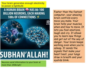 Qualities of a leader | PPTX