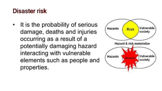 Disaster Risk Assessment | PPTX