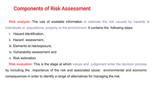 Disaster Risk Assessment | PPTX