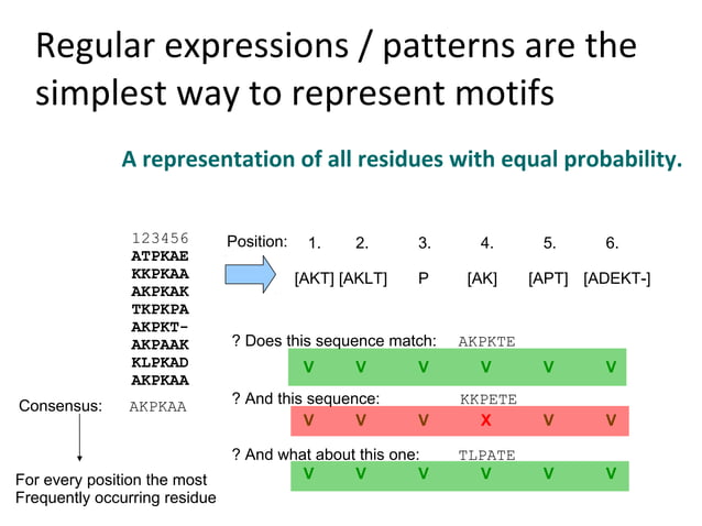 BITS: Basics of sequence analysis | PDF