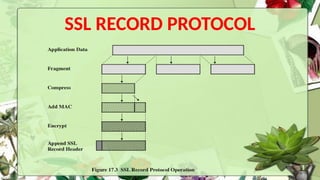 Comprehensive Overview of Network Layer and Web Security Protocols ...