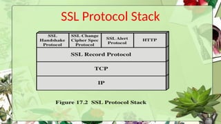 Comprehensive Overview of Network Layer and Web Security Protocols ...