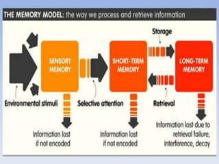 Mod 3 forgetting interference theory | PPTX