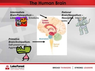 Mod 3 gatorbrain 1-nt | PPTX