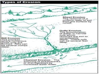 soil erosion and conservation | PPTX