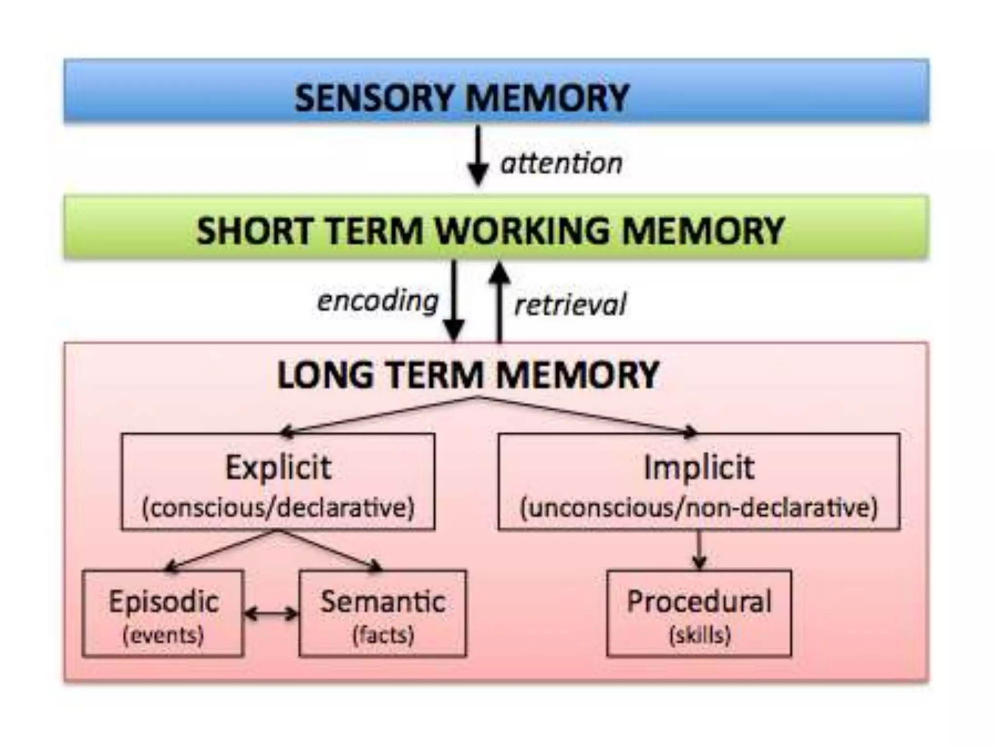 Mod 3 types of ltm slides | PPTX