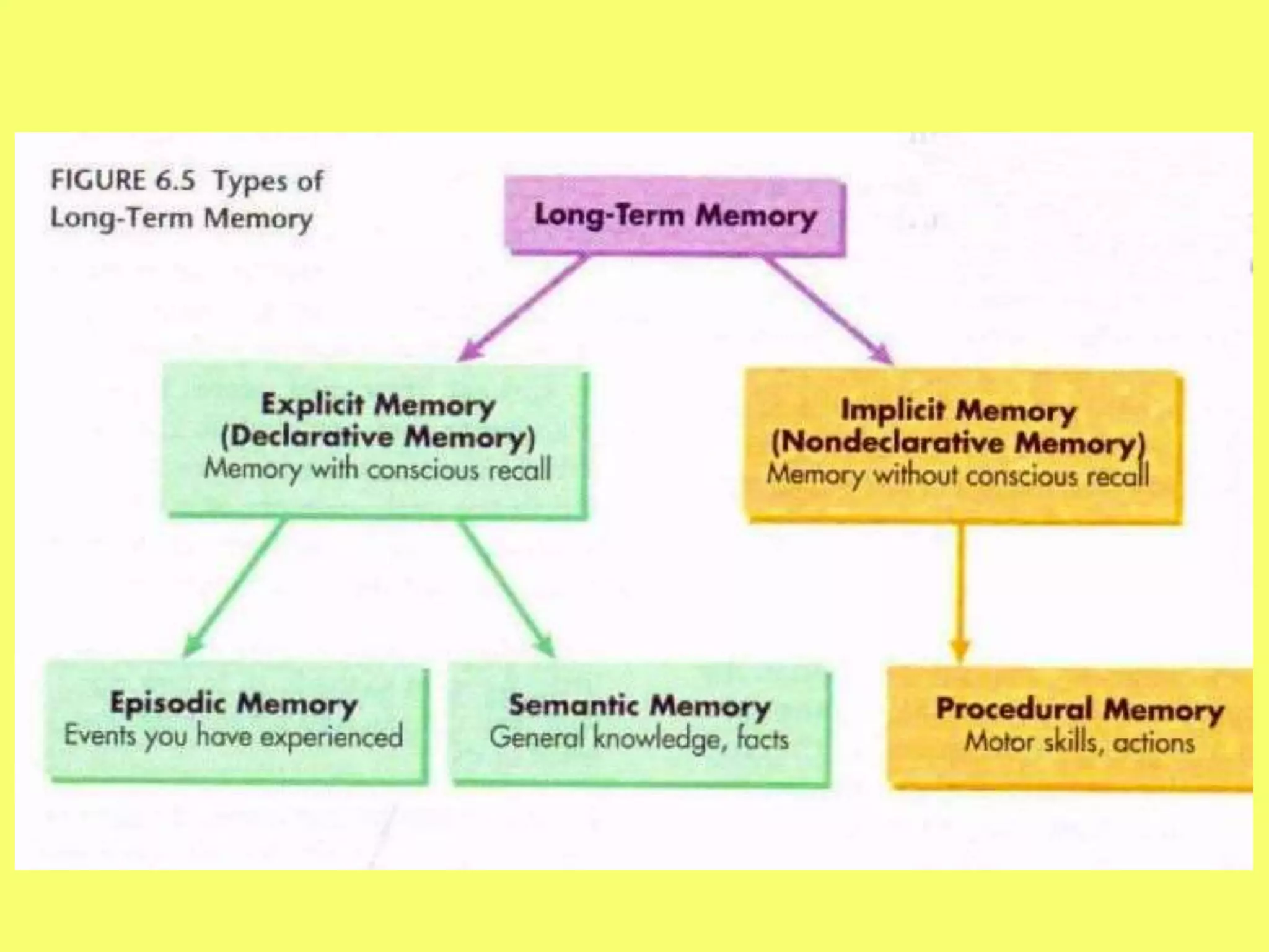 Mod 3 types of ltm slides | PPTX