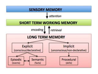 Mod 3 types of ltm slides | PPTX