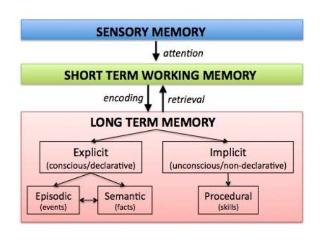 Mod 3 types of ltm slides