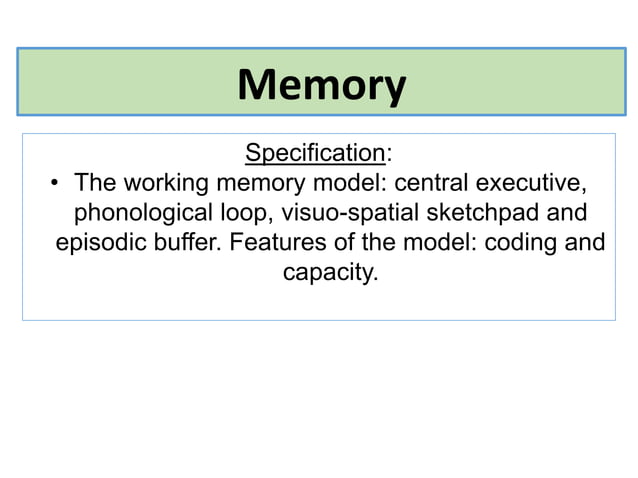 Mod 3 working memory model slides | PPTX