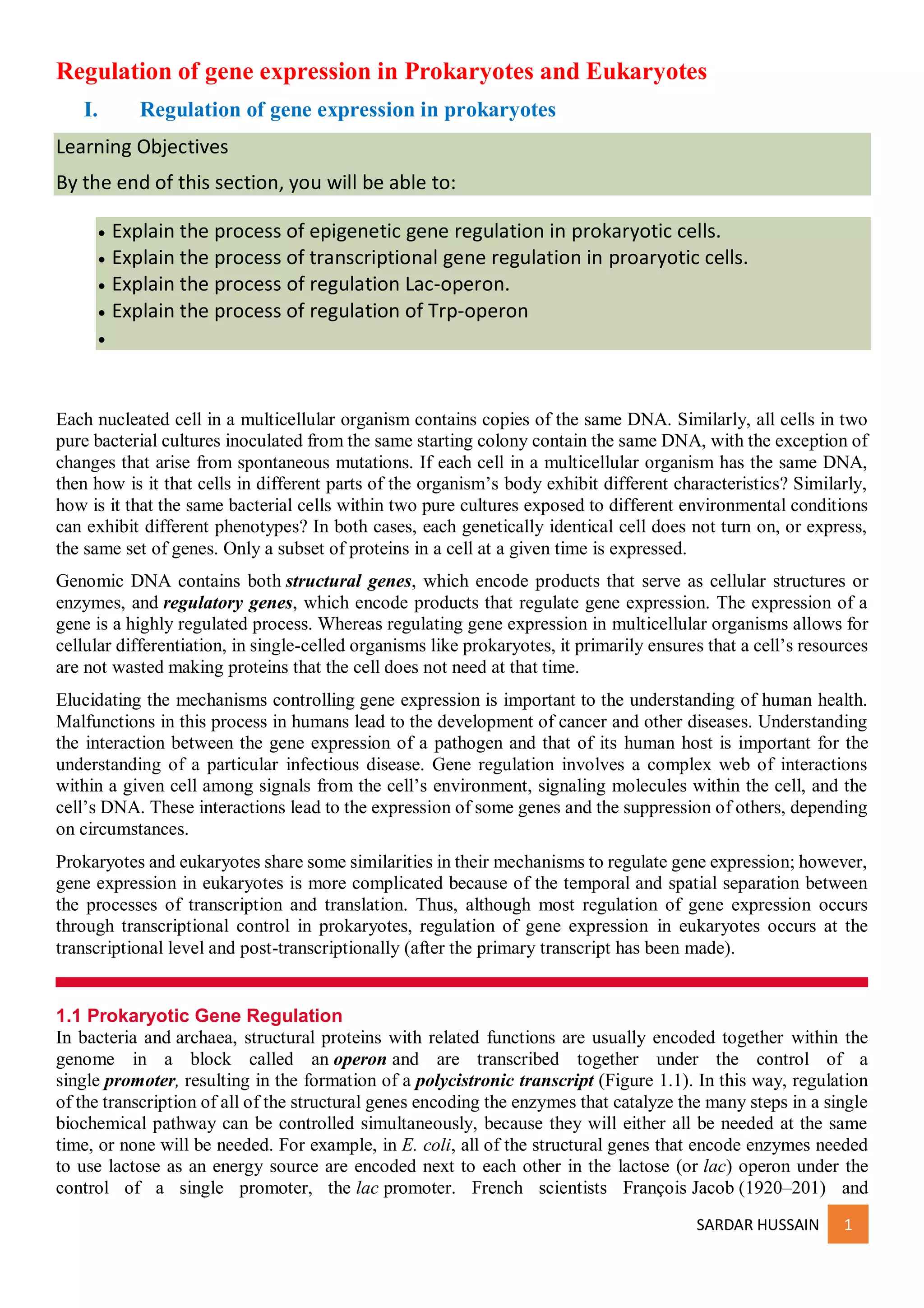 Mod 4 regulation of gene expression -notes SH.pdf | Biological Sciences ...