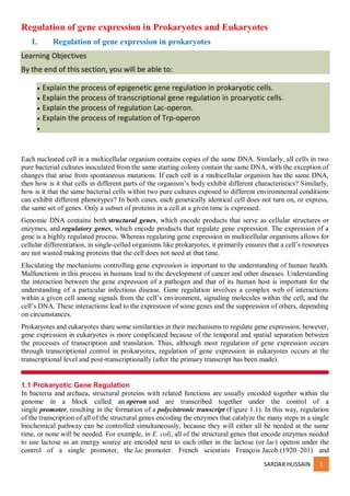 Mod 4 regulation of gene expression -notes SH.pdf