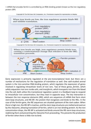 Mod 4 regulation of gene expression -notes SH.pdf