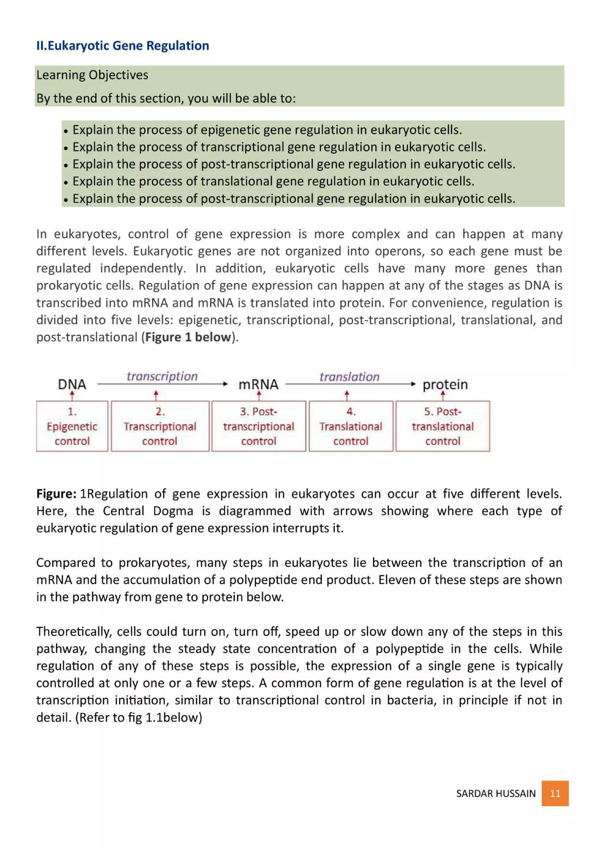 regulation of gene expression - part 1 | PDF