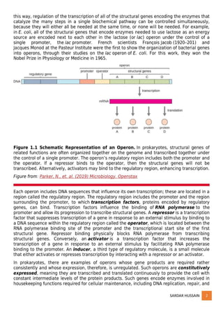 regulation of gene expression - part 1 | PDF