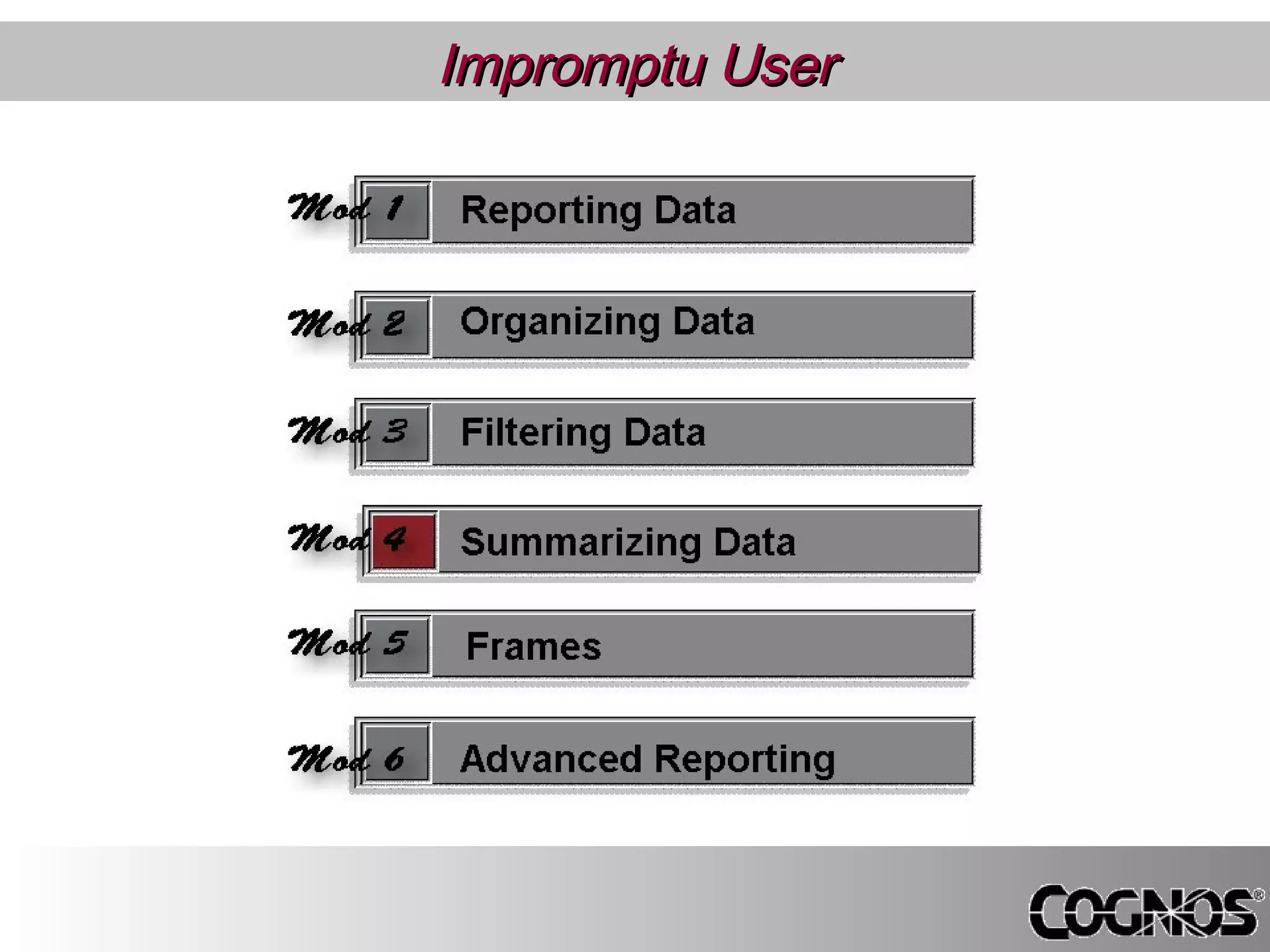 Cognos Module 4 summarizing data | PPT