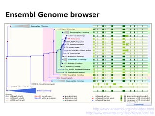 BITs: Genome browsers and interpretation of gene lists. | PPT