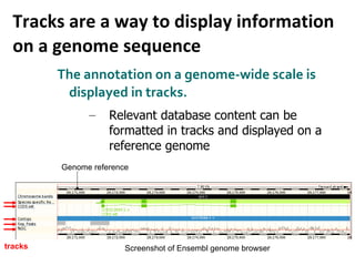 BITs: Genome browsers and interpretation of gene lists. | PPT