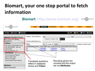 BITs: Genome browsers and interpretation of gene lists. | PPT