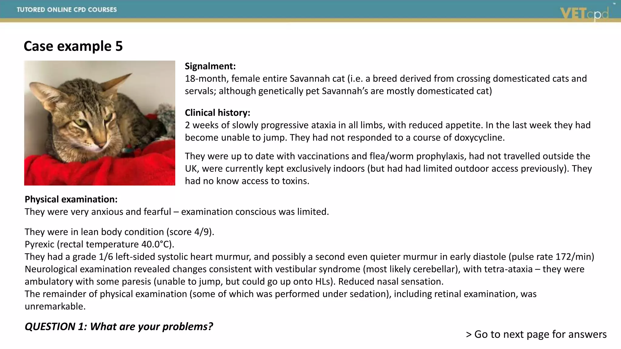 Mod 5 case 2022 | PPTX