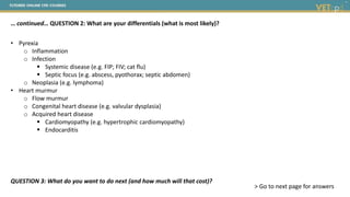 Mod 5 case 2022 | PPTX