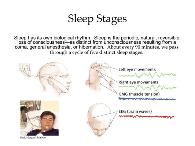 Mod 5 dual processing, sleep, & dreams | PPT